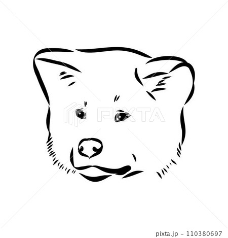 Japanese akita inu dog, vector outline...のイラスト素材 [110380697] - PIXTA
