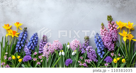 Spring flowers on light grey backgroundのイラスト素材 [110381035] - PIXTA