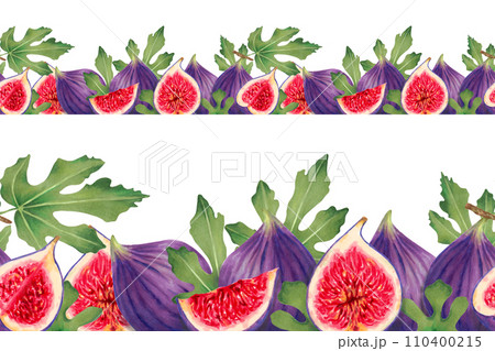 Fruit seamless fig border. Halves, whole,...のイラスト素材 [110400215] - PIXTA