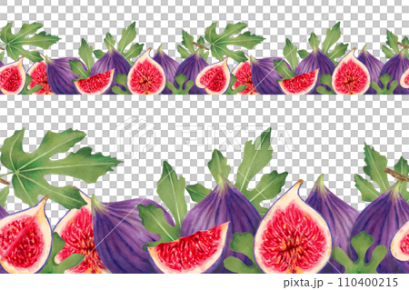 Fruit seamless fig border. Halves, whole,...のイラスト素材 [110400215] - PIXTA