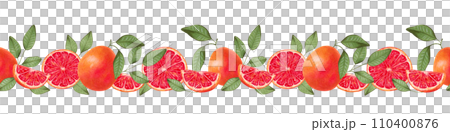 Seamless horizontal grapefruit border. Whole...のイラスト素材 [110400876] - PIXTA