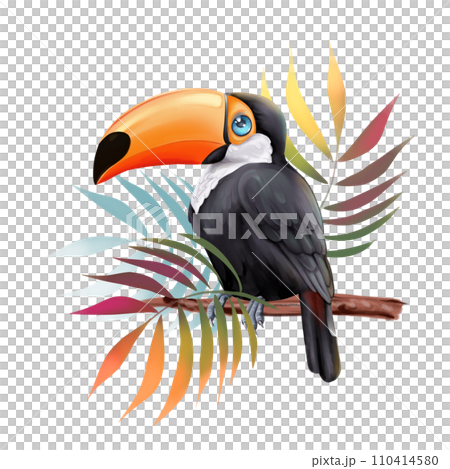 Toucan bird illustration. Tropical rainforest... - Stock Illustration ...