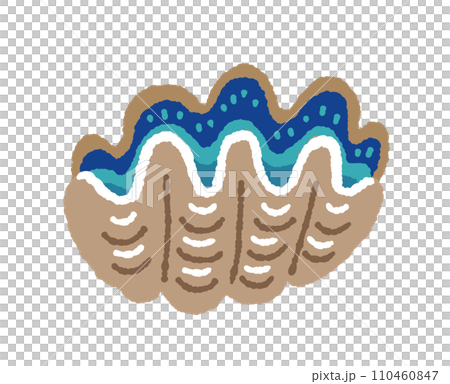Giant Clam Drawing
