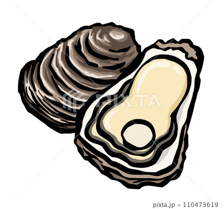 岩牡蠣（岩ガキ） イラストのイラスト素材 [110473619] - PIXTA