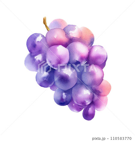 Grape のイラスト素材 [110583770] - PIXTA