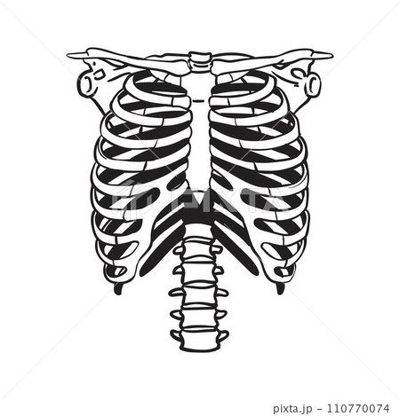 skeleton chest 2のイラスト素材 [110770074] - PIXTA