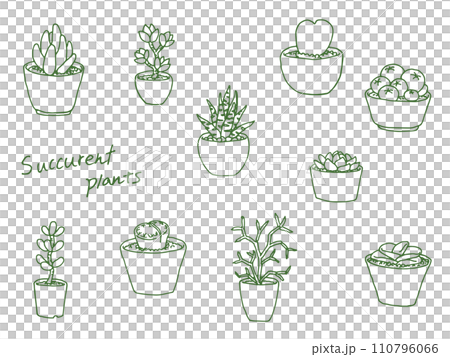 Succulent Drawing Tumblr