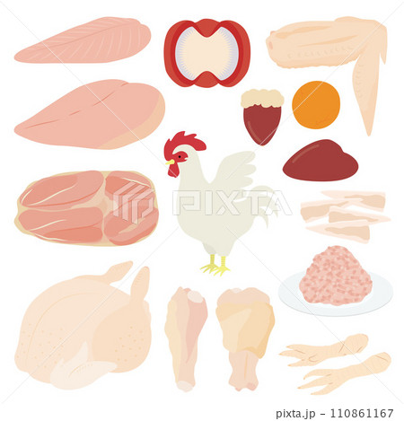 鶏肉のイラストのイラスト素材 [110861167] - PIXTA