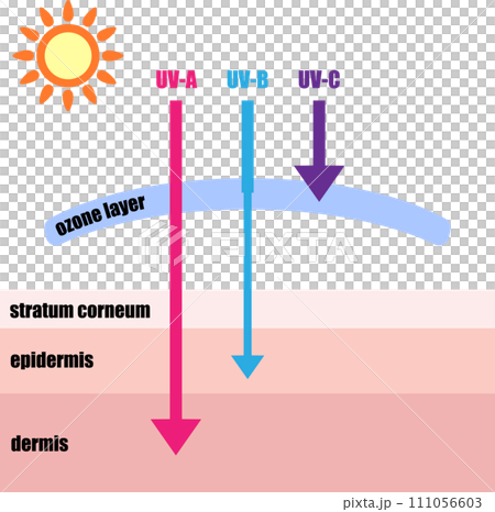 Ultraviolet Rays Diagram Ultraviolet Radiation | Skin Cancer Institute