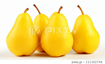 Line of yellow pears with stems on a white...のイラスト素材 [111102748] - PIXTA