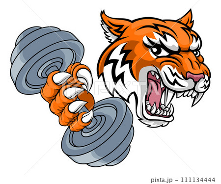 Tiger Weight Lifting Dumbbell Gym Animal Mascotのイラスト素材 [111134444] - PIXTA