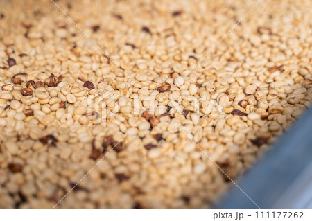 Drying parchment coffee beans in the sun,coffeeの写真素材 [111177262] - PIXTA
