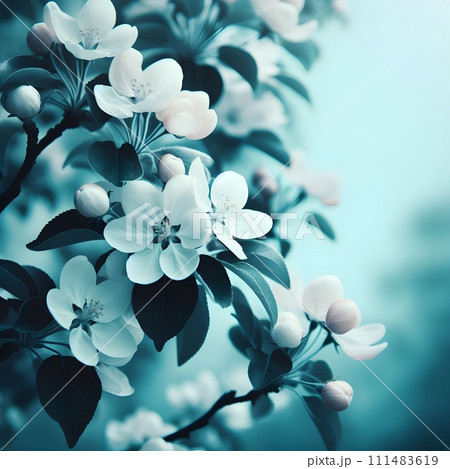 Spring Awakening of nature, fruit trees begin...のイラスト素材 [111483619] - PIXTA