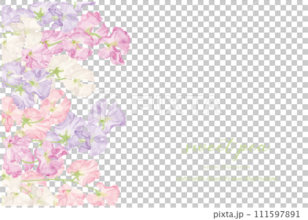 Suitopi 水彩畫插圖背景資料-插圖素材 [111597891] - PIXTA圖庫