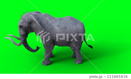 African elephant idle. 3d rendering.のイラスト素材 [111665816] - PIXTA