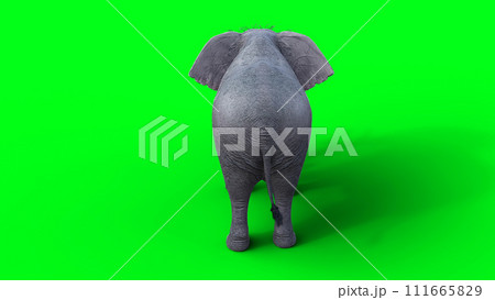 African elephant idle. 3d rendering.のイラスト素材 [111665829] - PIXTA