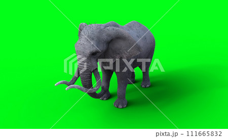 African elephant idle. 3d rendering.のイラスト素材 [111665832] - PIXTA