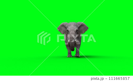 African elephant idle. 3d rendering.のイラスト素材 [111665857] - PIXTA