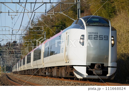 車両デザインをリニューアルしたE259系の写真素材 [111668024] - PIXTA