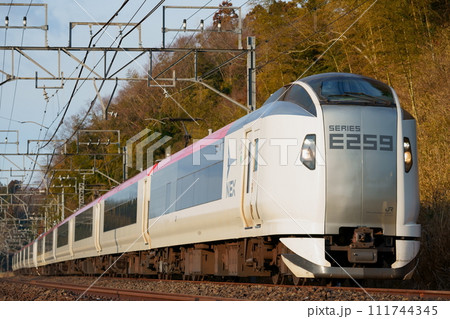 新塗装のN'EX: リニューアルしたE259系の写真素材 [111744345] - PIXTA