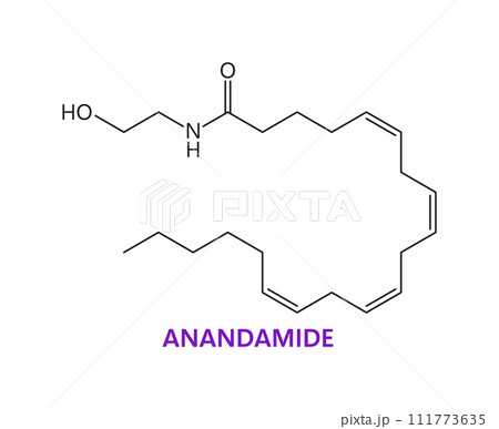 Neurotransmitter, Anandamide ANA chemical...のイラスト素材 [111773635] - PIXTA