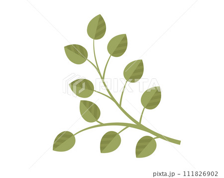 Leaves vector illustration. In realm botany,...のイラスト素材 [111826902] - PIXTA
