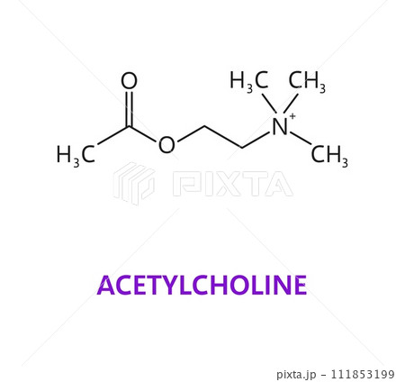 Neurotransmitter, Acetylcholine ACh chemical...のイラスト素材 [111853199] - PIXTA