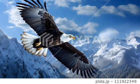 Soar above the mountains with the majestic bald...のイラスト素材 [111922349 ...