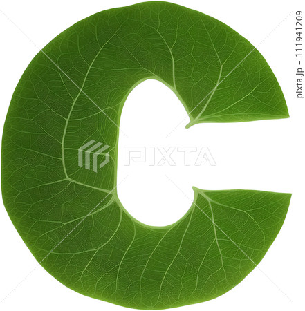 Green leaf typography text design lowercase...のイラスト素材 [111941209] - PIXTA