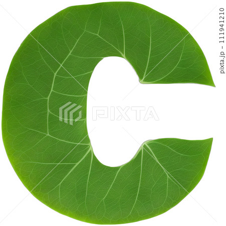 Green leaf typography text design lowercase...のイラスト素材 [111941210] - PIXTA