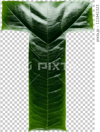 Green leaf typography text design uppercase...のイラスト素材 [111941323] - PIXTA