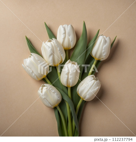 Bouquet of white tulips on a beige background....のイラスト素材 [112237794 ...