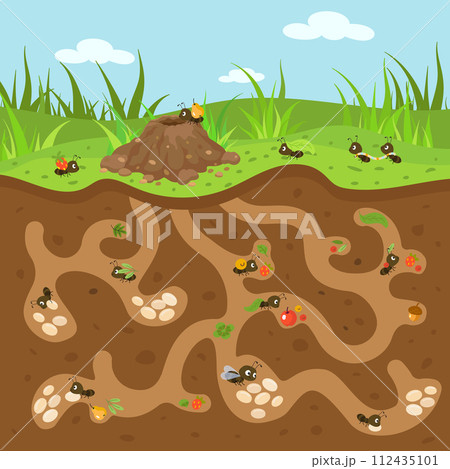 Cartoon anthill illustration. Cute tiny ants...のイラスト素材 [112435101] - PIXTA