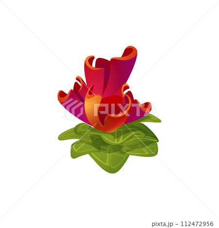 Bright red magic flower flat style, vector...のイラスト素材 [112472956] - PIXTA