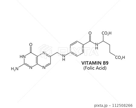 Vitamin B9 Structure Folic Acid 400 Mcg Tablets 400 Vegan Vitamin B9