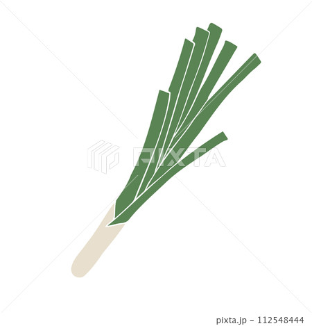 Vector hand drawn doodle sketch leekのイラスト素材 [112548444] - PIXTA