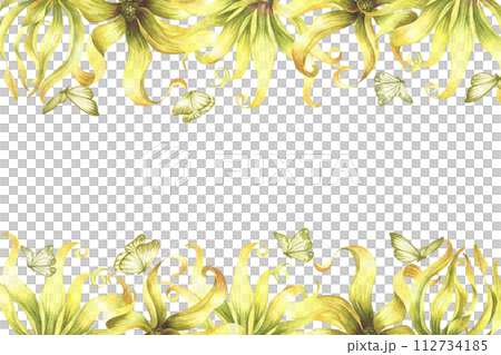 A frame with ylang-ylang flowers and...のイラスト素材 [112734185] - PIXTA
