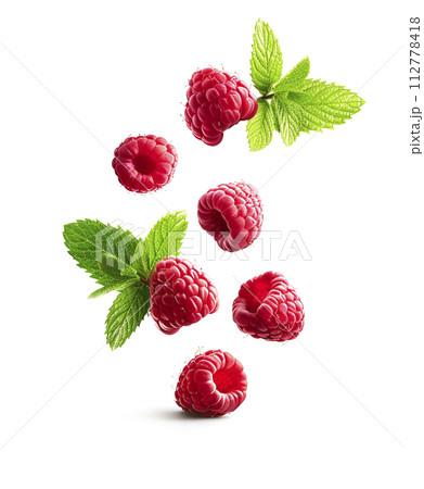 Falling raspberry and mint on white backgroundsのイラスト素材 [112778418] - PIXTA