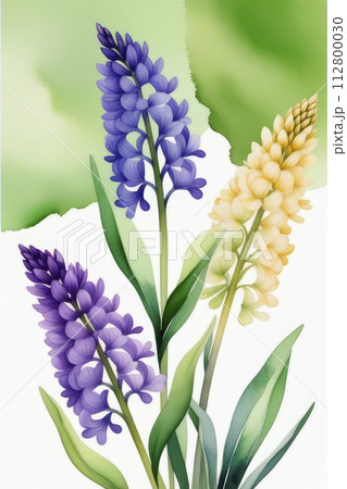 Wallpaper with transparent x-ray spring flowers.のイラスト素材 [112800030] - PIXTA