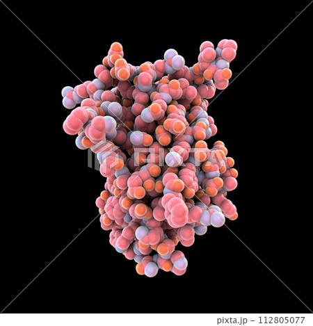 Human growth hormone molecule, illustrationのイラスト素材 [112805077] - PIXTA
