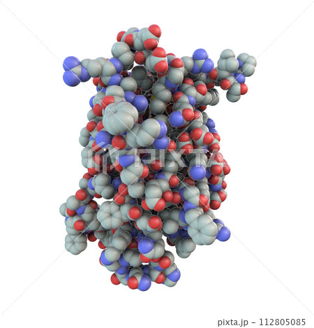 Human growth hormone molecule, illustrationのイラスト素材 [112805085] - PIXTA