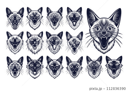 Cute meowing balinese cat face illustration...のイラスト素材 [112836390] - PIXTA