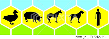Graphic pictograms of animals - duck, pig,...のイラスト素材 [112865949] - PIXTA