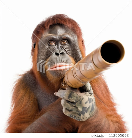 Orangutan is seen holding a gun in its hand,...のイラスト素材 [112905098] - PIXTA
