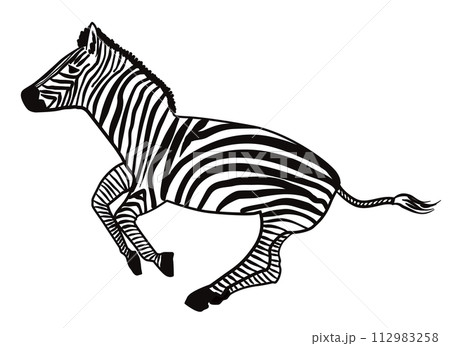 しまうまのイラスト素材 [112983258] - PIXTA