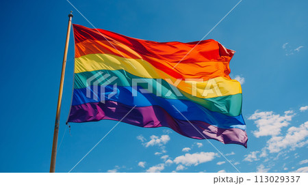 LGBTパレードの旗のイラスト素材 [113029337] - PIXTA