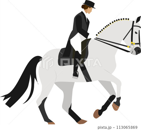 Lady riding horse vector icon isolated on whiteのイラスト素材 [113065869] - PIXTA