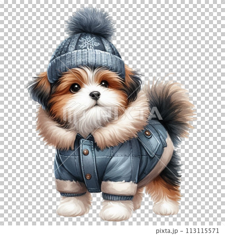 Dog wearing winter clothes clipart watercolorのイラスト素材 [113115571] - PIXTA