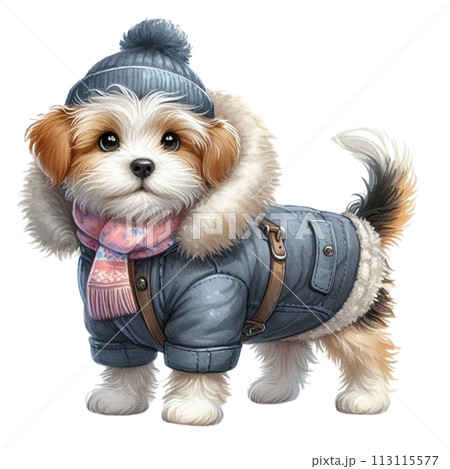 Dog wearing winter clothes clipart watercolorのイラスト素材 [113115577] - PIXTA