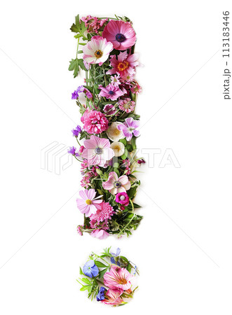Flower font exclamation mark made of beautiful...のイラスト素材 [113183446 ...